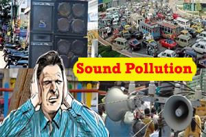 PIL Claims Noise Pollution During Festivals, Weddings In MP; HC Seeks ...