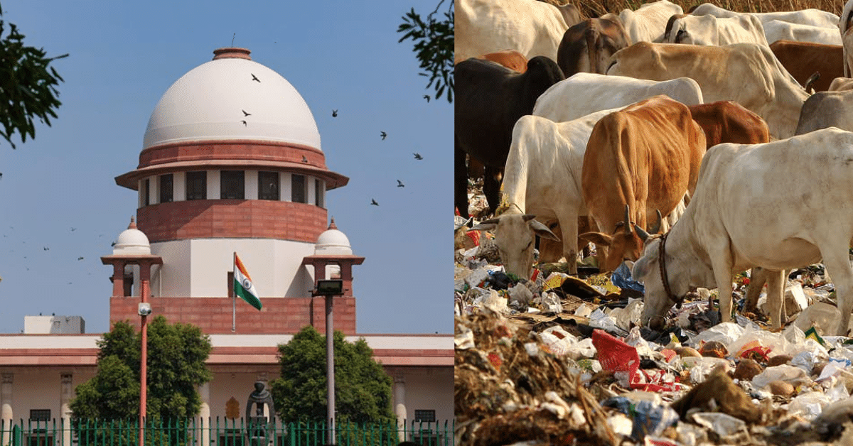 "Complete Failure": Apex Court On Solid Waste Management Rules In Delhi ...