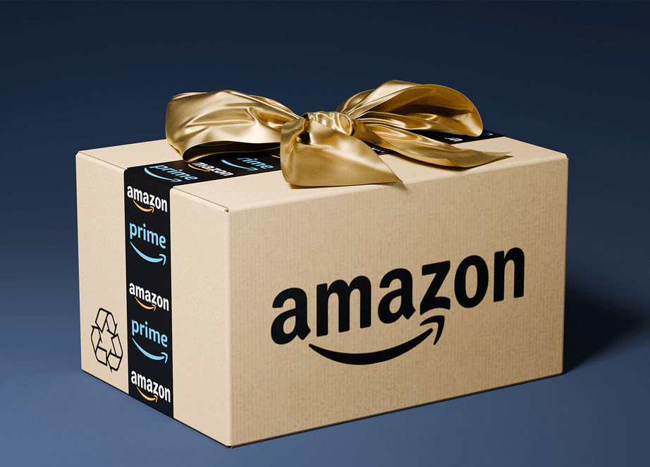 "Ingenious Modus Operandi": Karnataka HC Exposes Scam To Defraud Amazon ...