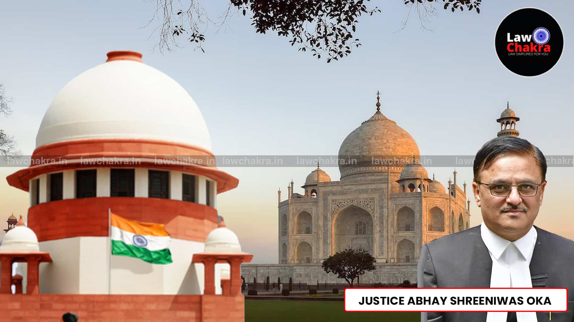 Supreme Court Hears The 'Taj Trapezium Case' Involving Illegal Tree Felling