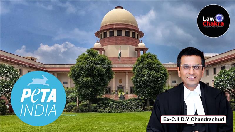 Former Chief Justice Chandrachud Named PETA India’s 2024 'Most ...