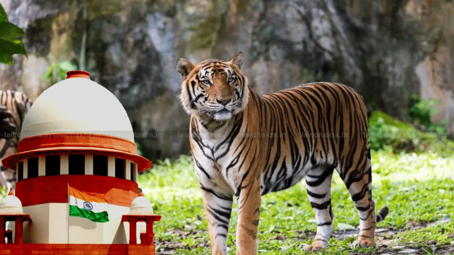 "Illegal Construction At Satkosia Tiger Reserve": Supreme Court Orders Probe Amid Zero Buffer ...