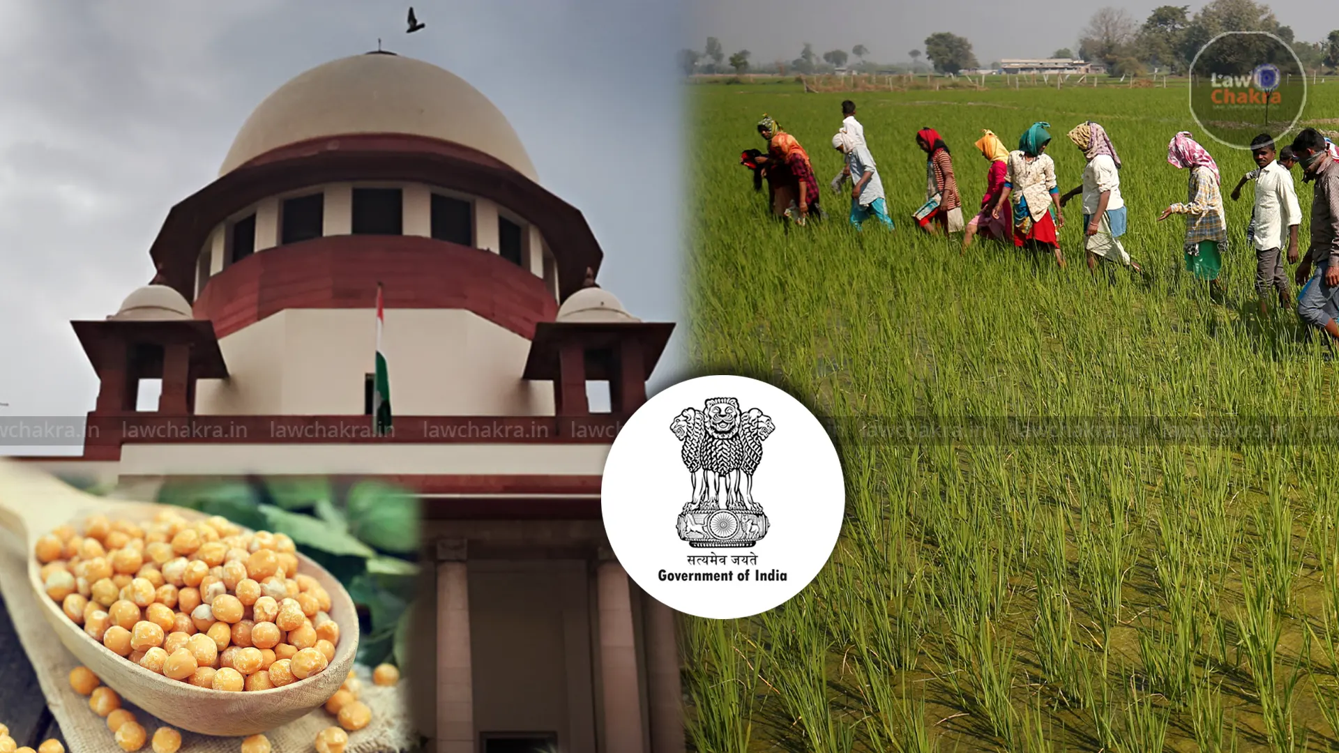 Supreme Court Seeks Centre’s Reply On PIL Demanding Ban On Cheap Yellow Peas Imports Hurting ...