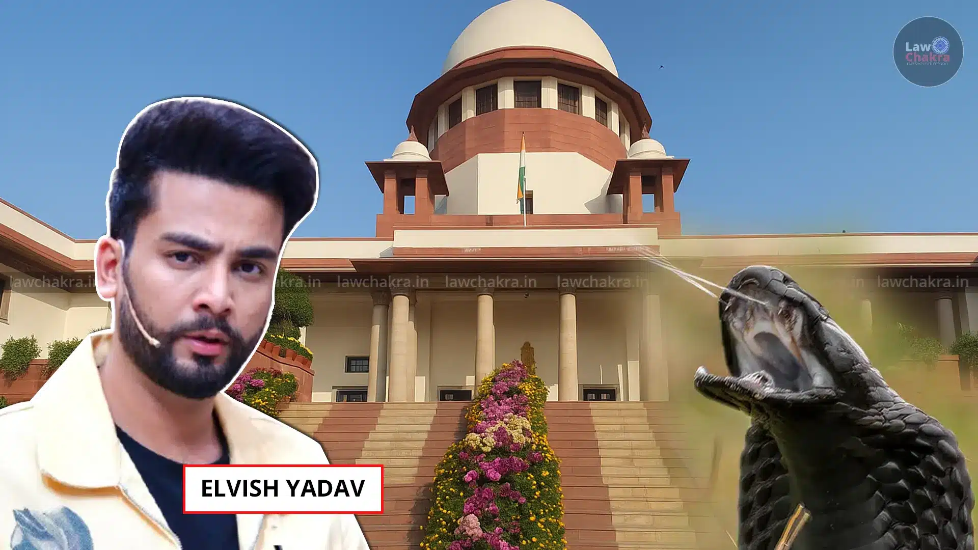 Snake Venom Case | Supreme Court Separated Elvish Yadav's Pleas For Hearing