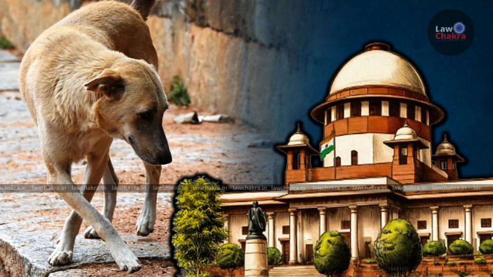 Total Eye Wash: Supreme Court Slams States For Failing To Sterilise ...