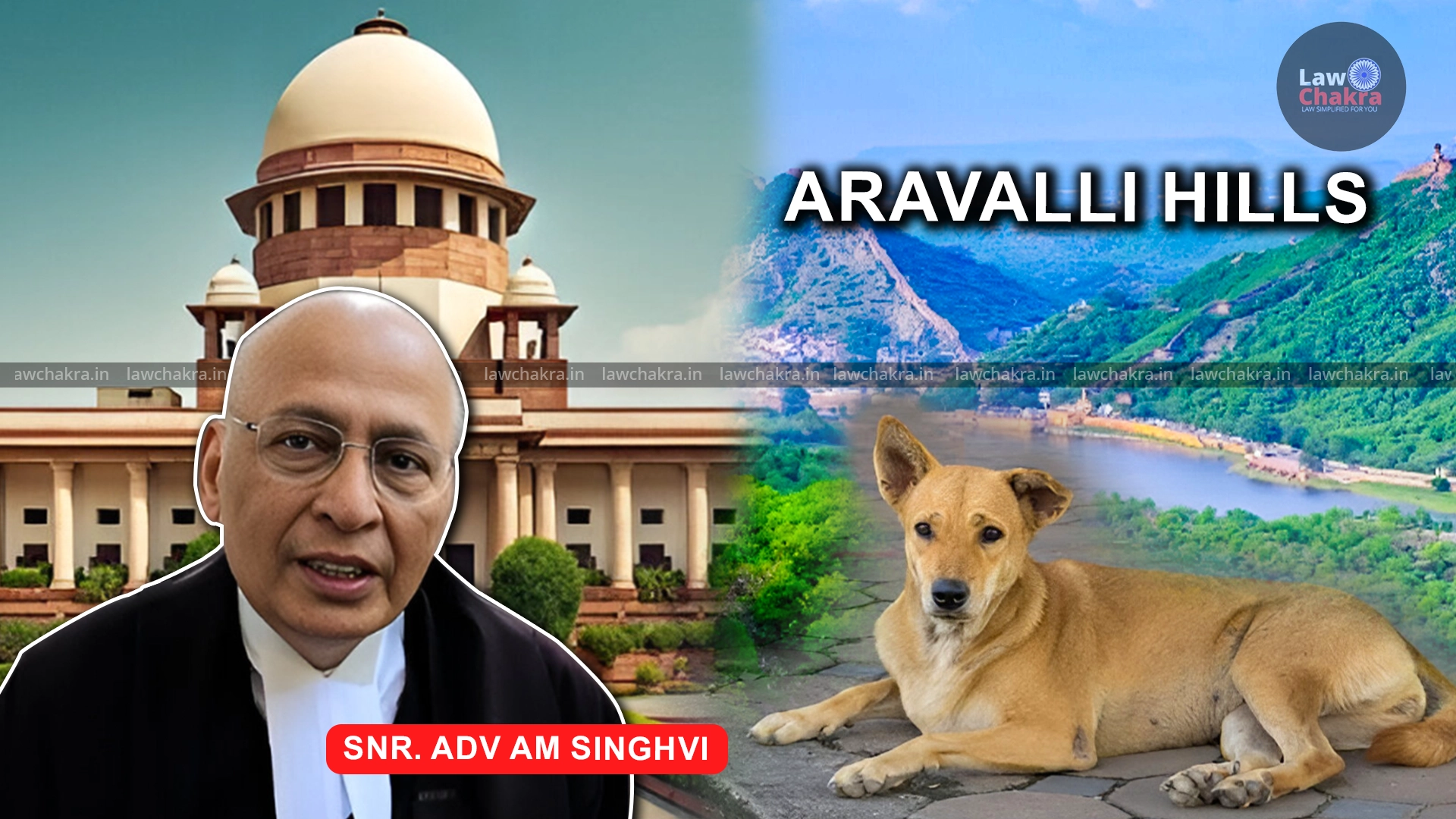 Stray Dogs Case Should Not End Up Like Aravalli Case”: AM Singhvi Urges ...