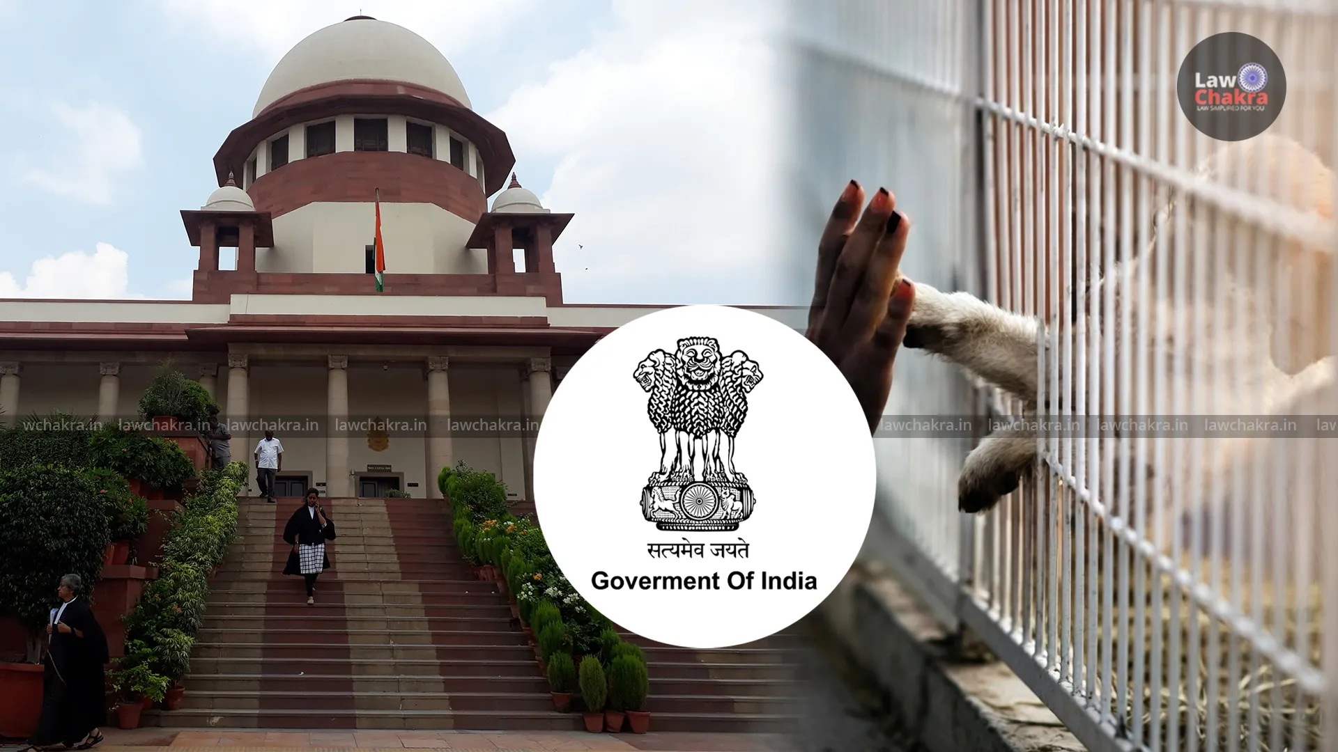 “Can Animals Be Taken Before Conviction?” Supreme Court Seeks Centre’s ...
